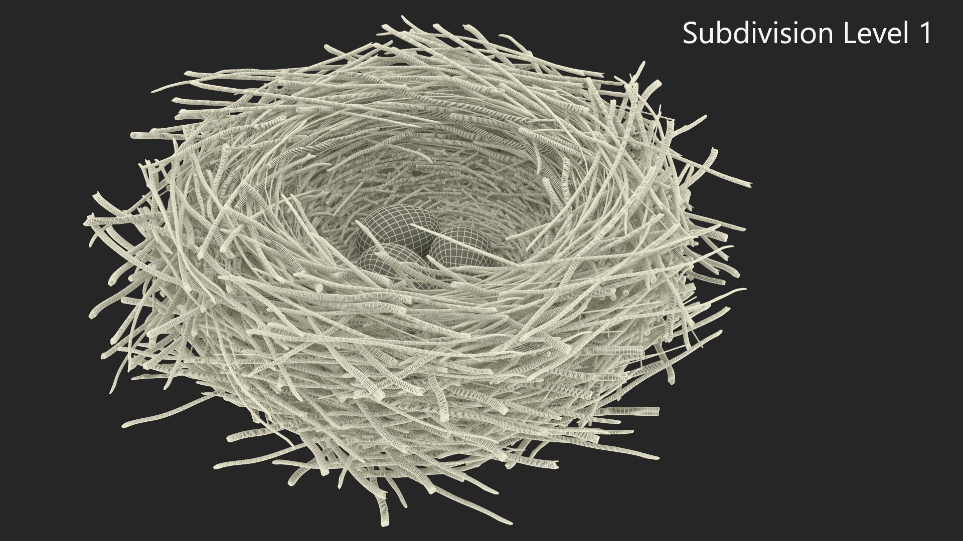 3D Bird Nest With Eggs Model - TurboSquid 2198756