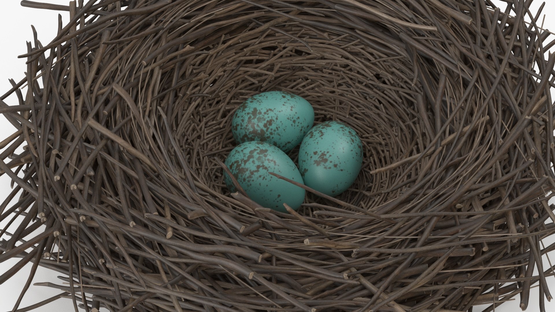 3D Bird Nest With Eggs Model - TurboSquid 2198756