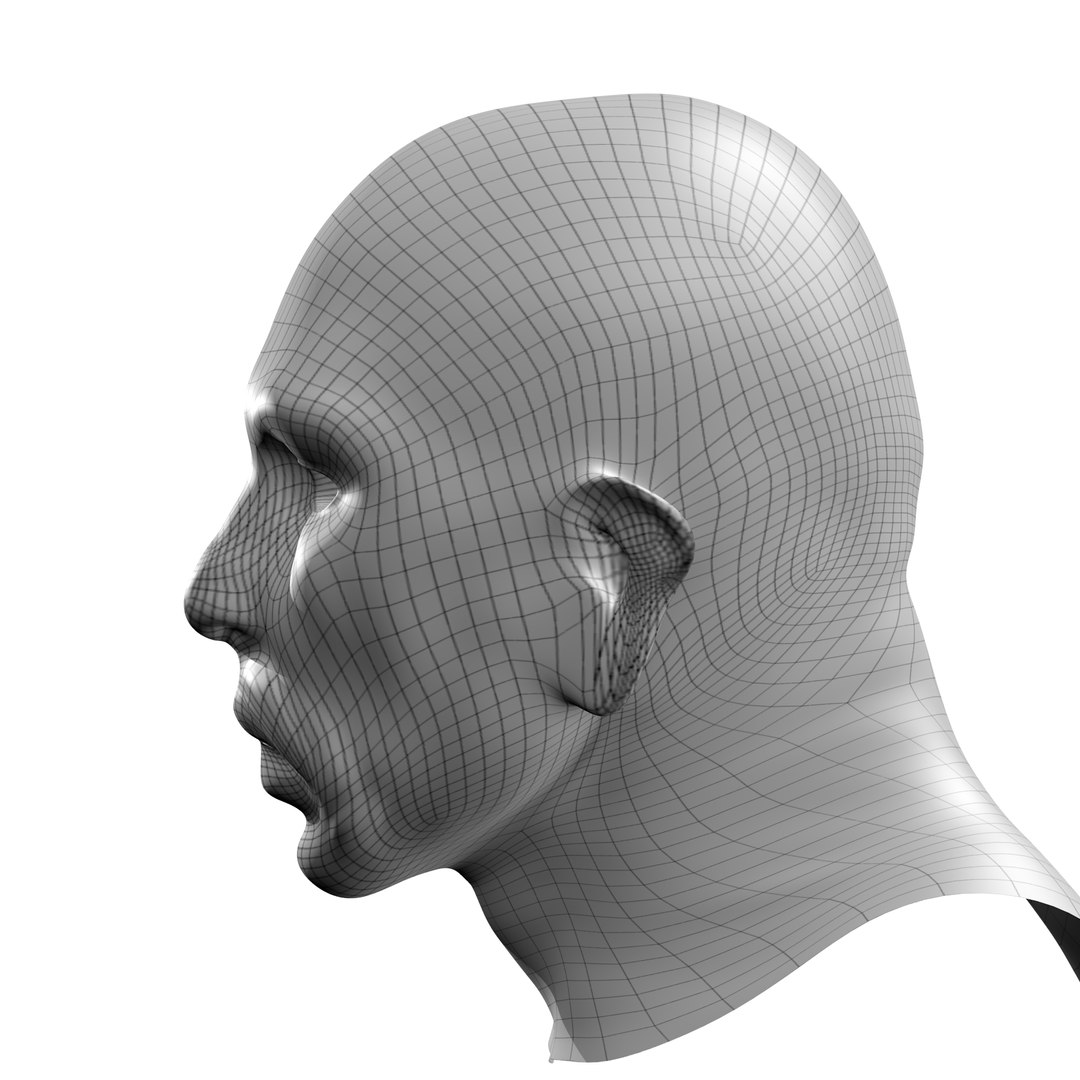 Blend Rigged Male Head