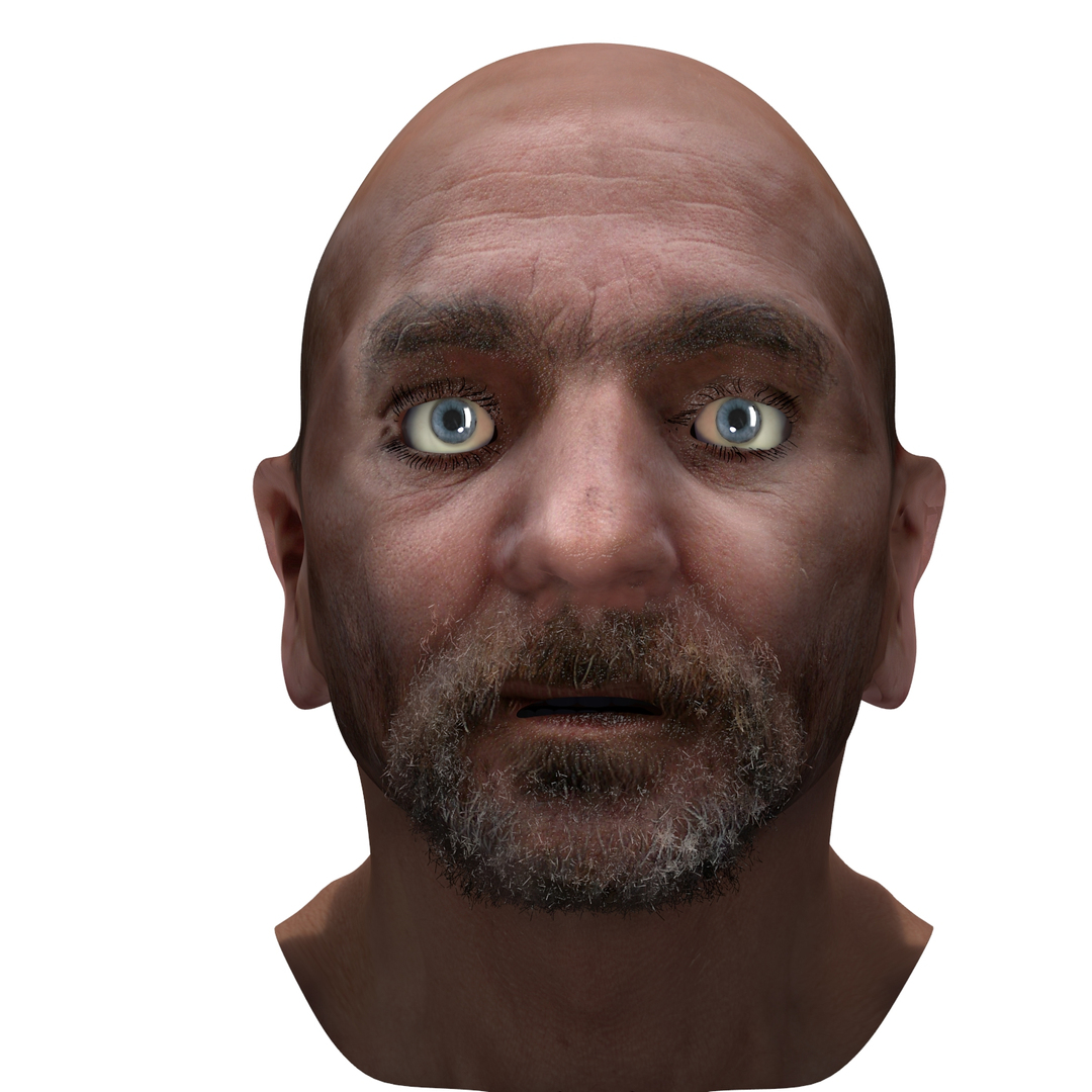 Blend Rigged Male Head