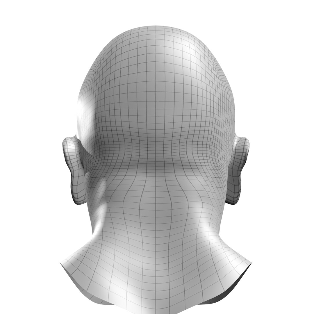 Blend Rigged Male Head