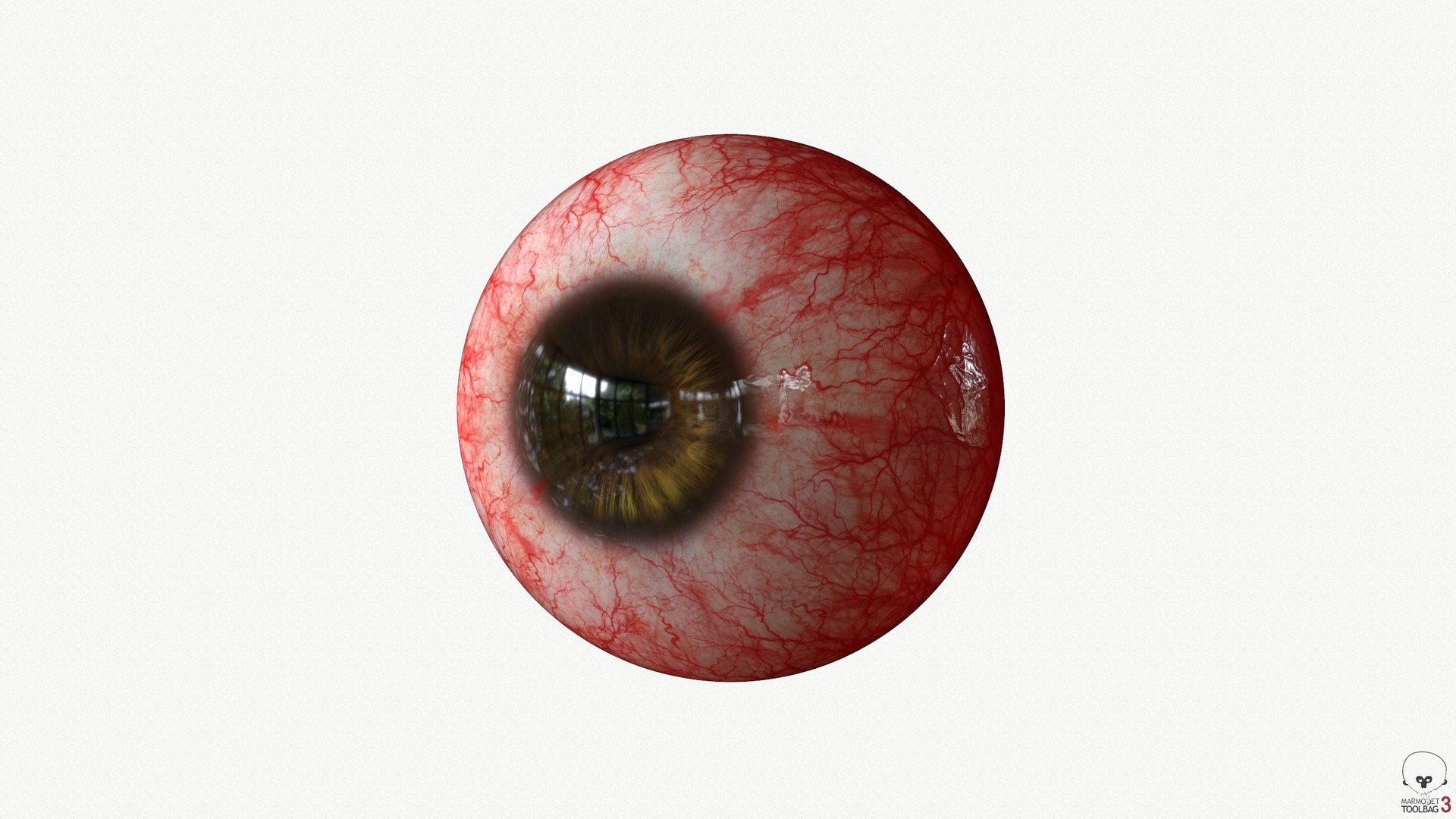 Eye Redness Real-time 3D Model 4k Texture Marmoset Toolbag3 Maya FBX ...