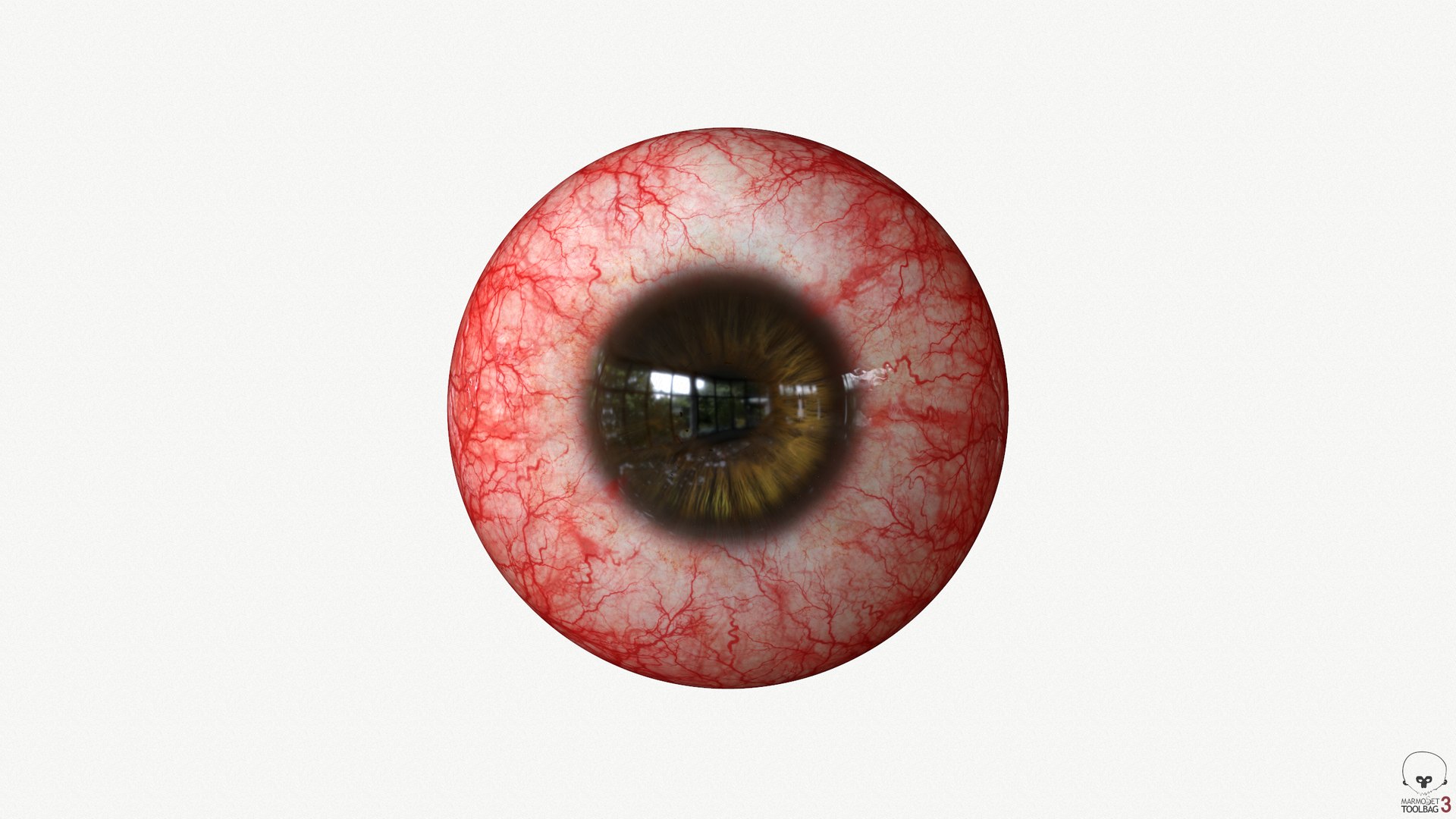 Eye Redness Real-time 3D Model 4k Texture Marmoset Toolbag3 Maya FBX ...