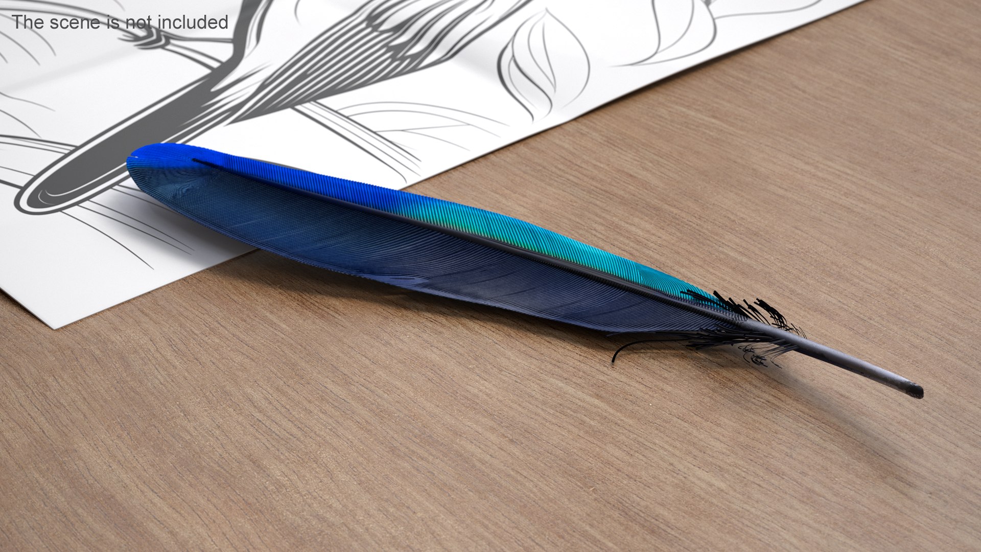 3D Amazon Parrot Feather - TurboSquid 2211829