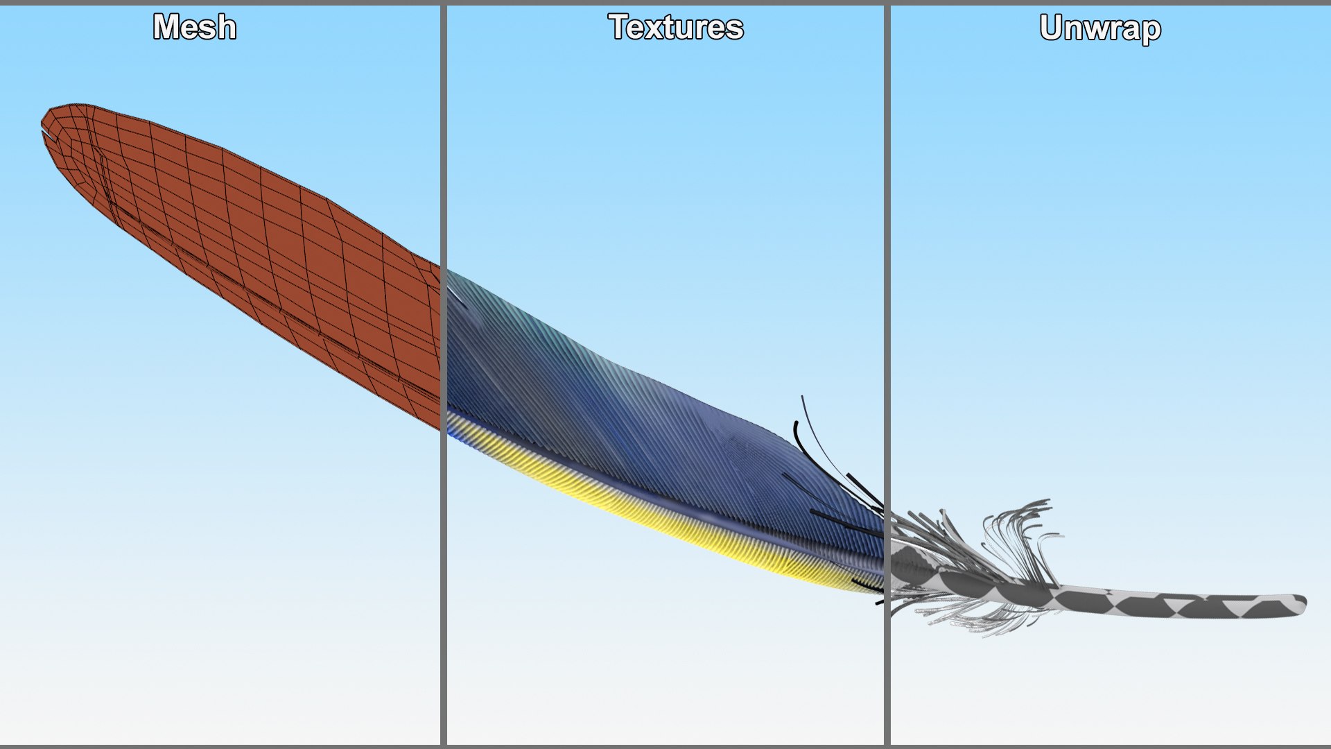 3D Amazon Parrot Feather - TurboSquid 2211829