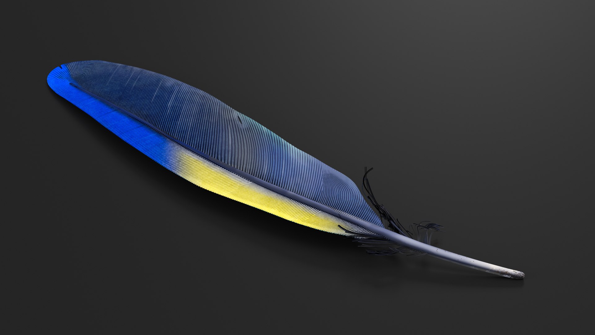 3D Amazon Parrot Feather - TurboSquid 2211829