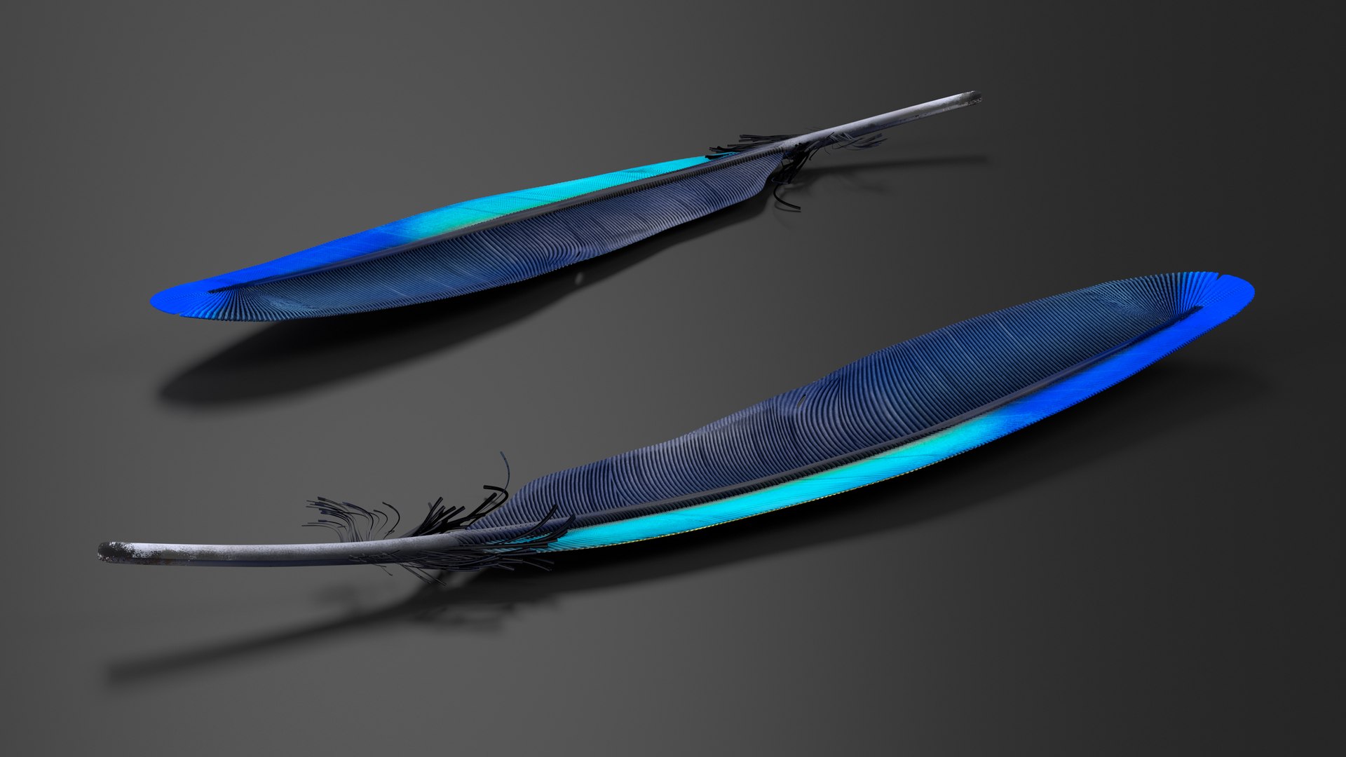 3D Amazon Parrot Feather - TurboSquid 2211829