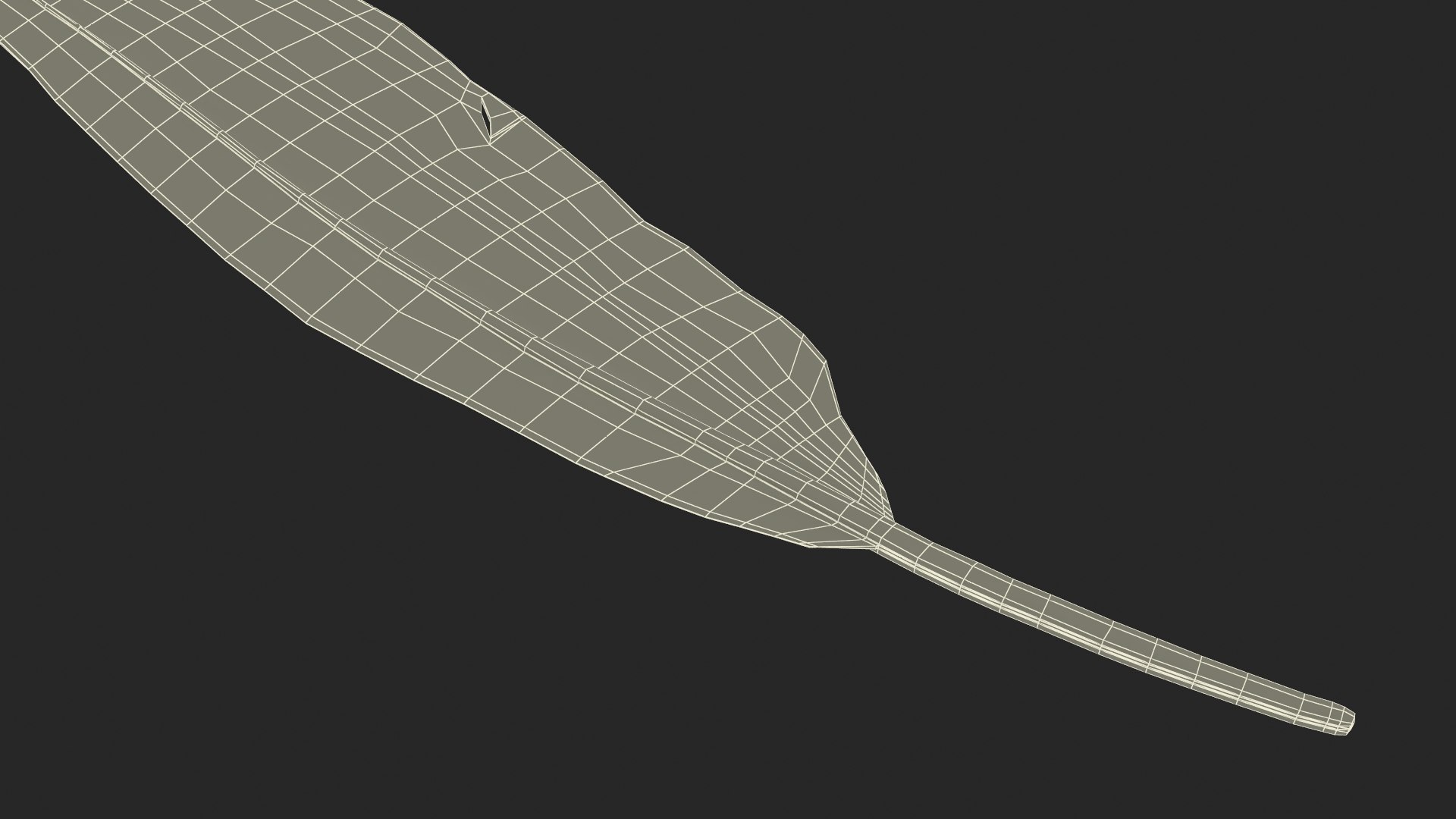 3D Amazon Parrot Feather - TurboSquid 2211829