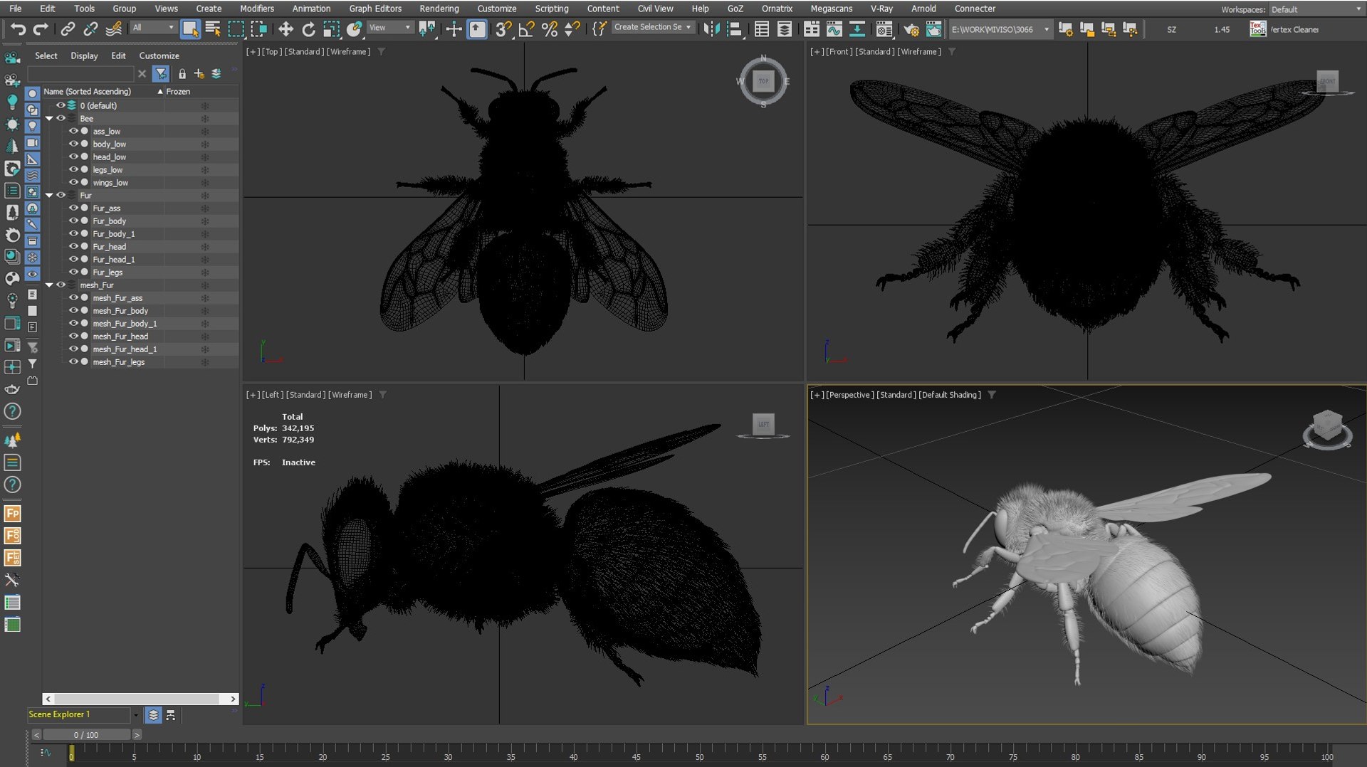 3D Model Bee Photorealistic Model - TurboSquid 2257790