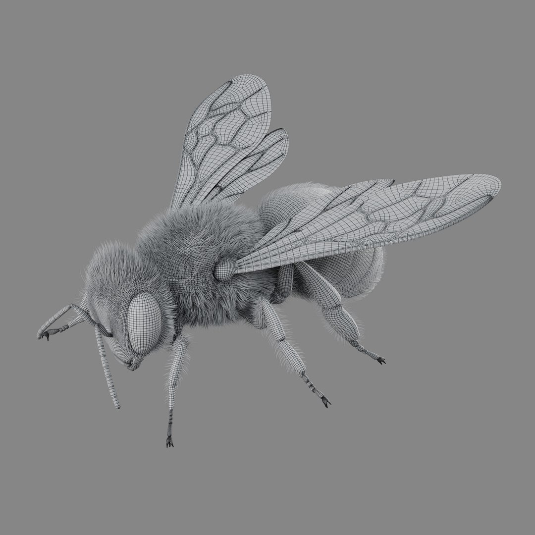 3D Model Bee Photorealistic Model - TurboSquid 2257790
