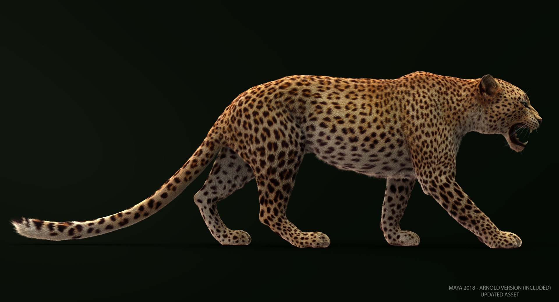 Maya Leopard Rigged Fur Animations