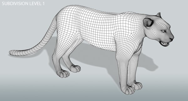 maya leopard rigged fur animations
