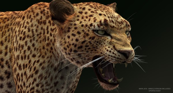 maya leopard rigged fur animations