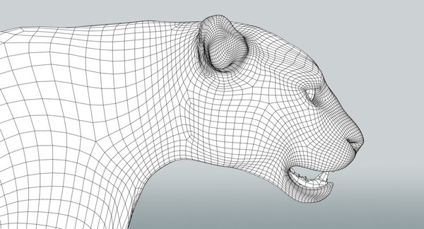 maya leopard rigged fur animations