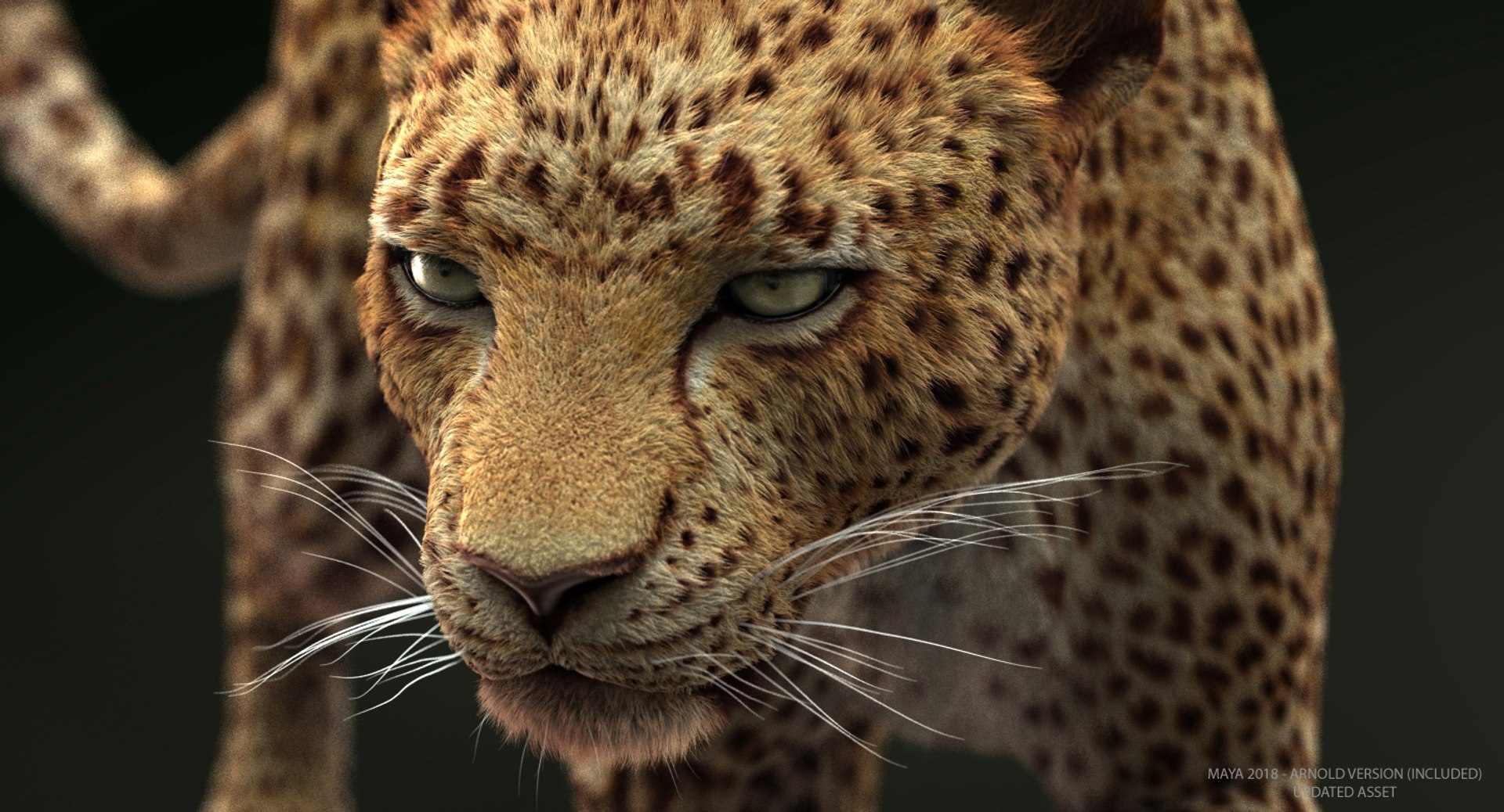 Maya Leopard Rigged Fur Animations