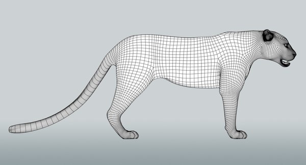 maya leopard rigged fur animations