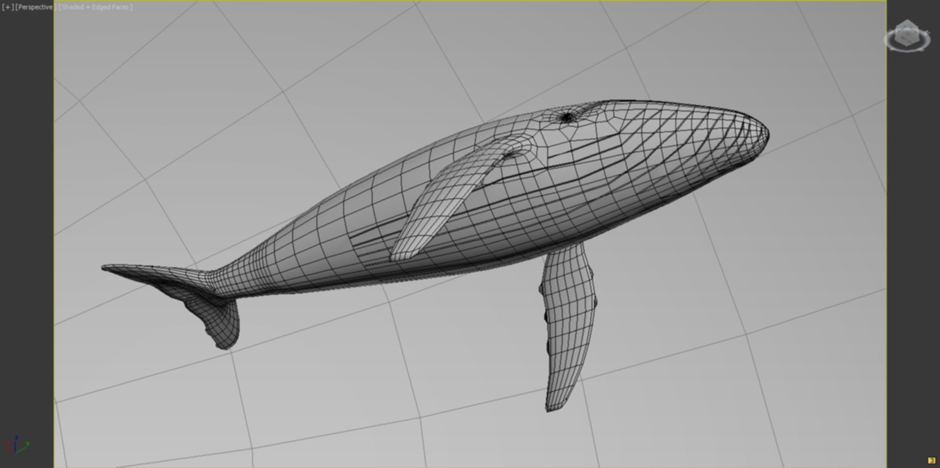 3D Blue Whale - TurboSquid 1381051
