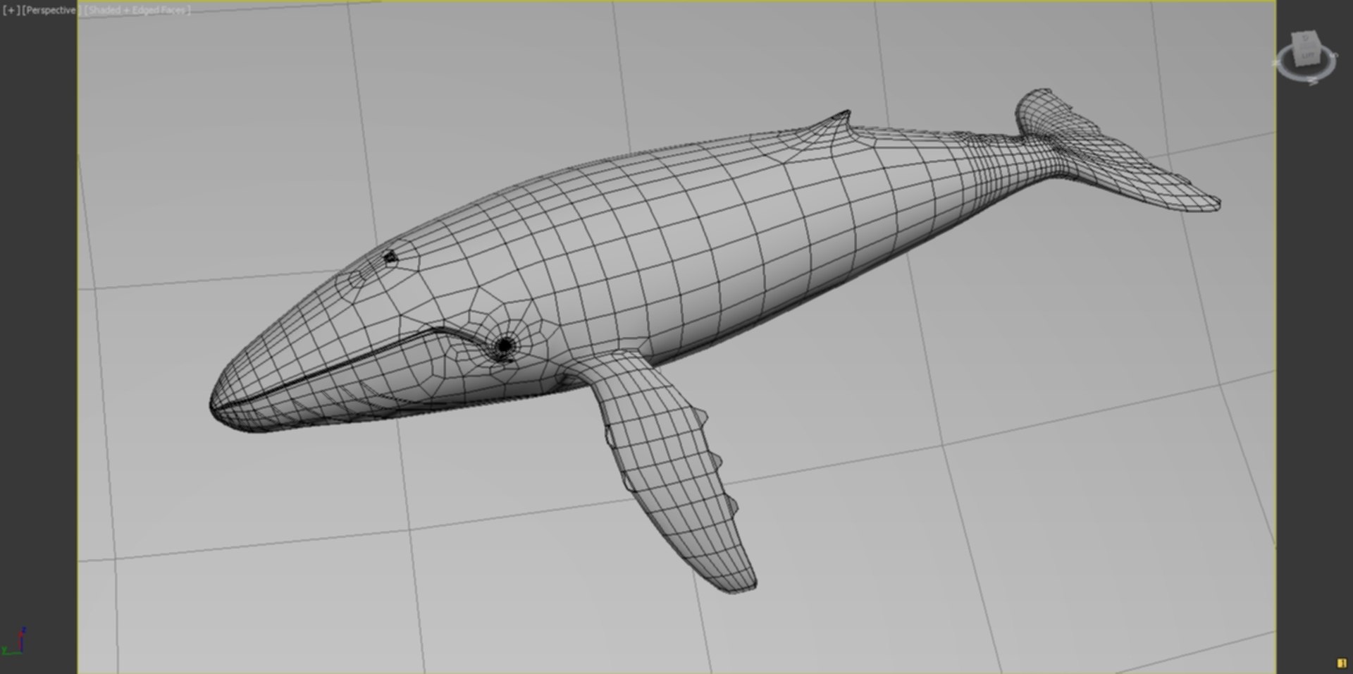 3D Blue Whale - TurboSquid 1381051