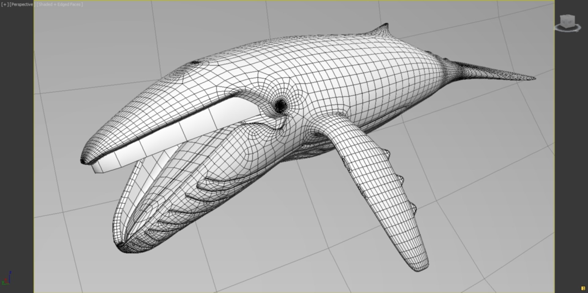 3D Blue Whale - TurboSquid 1381051