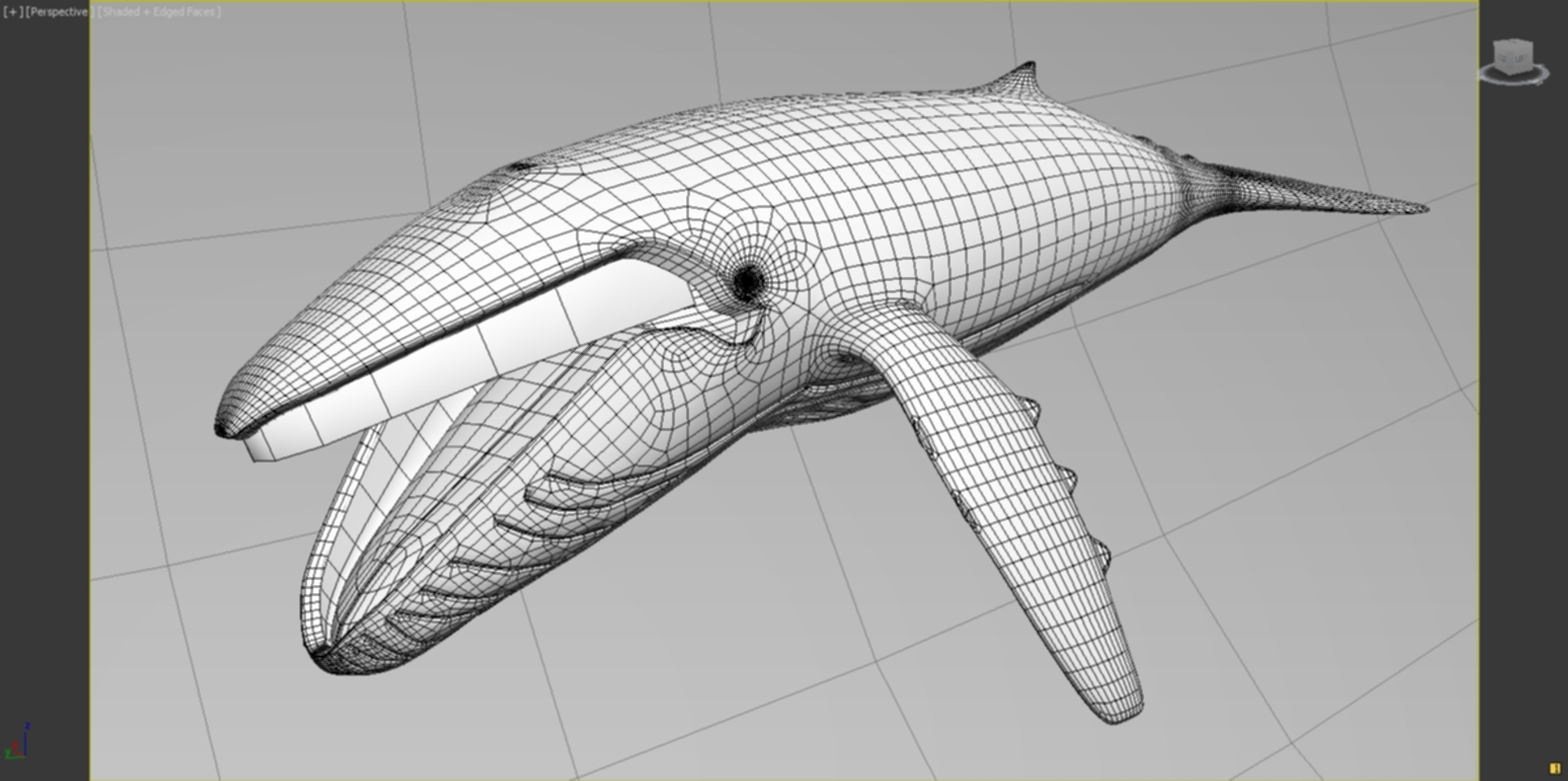 3D blue whale - TurboSquid 1381051