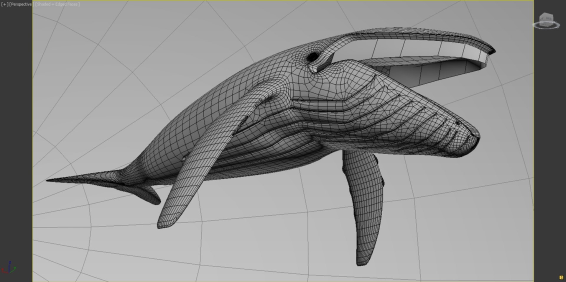 3D Blue Whale - TurboSquid 1381051