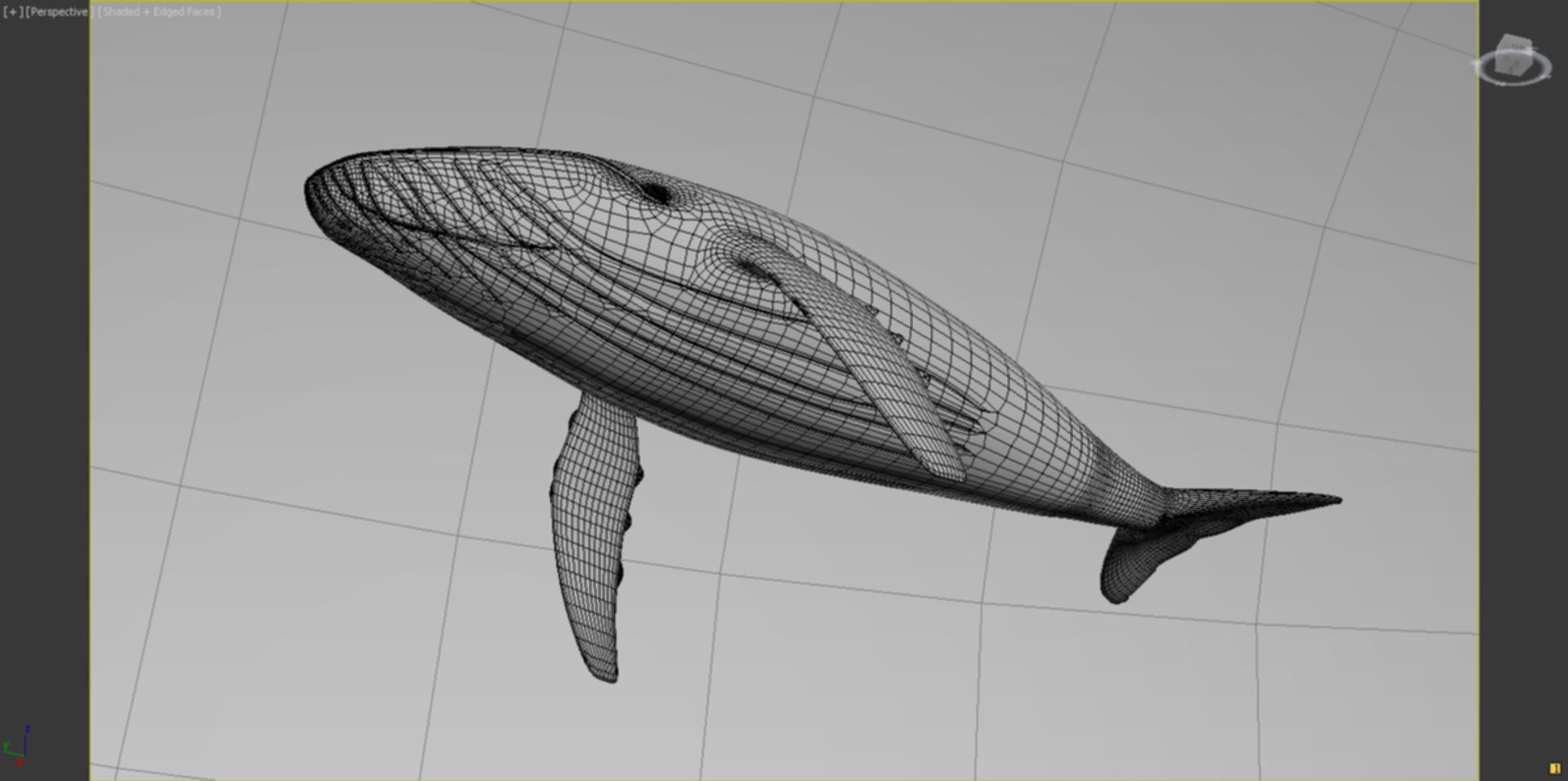 3D Blue Whale - TurboSquid 1381051