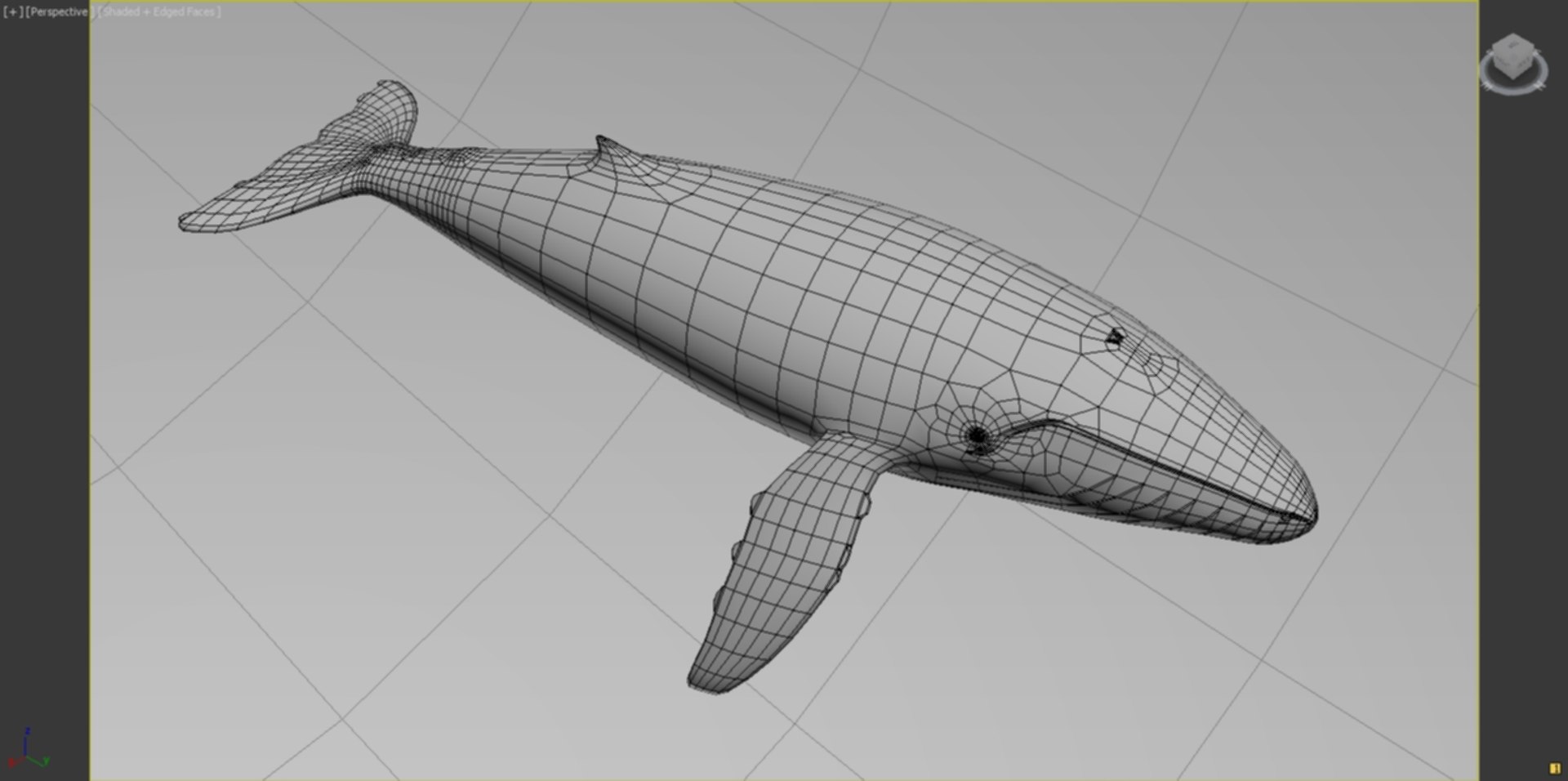 3D Blue Whale - TurboSquid 1381051