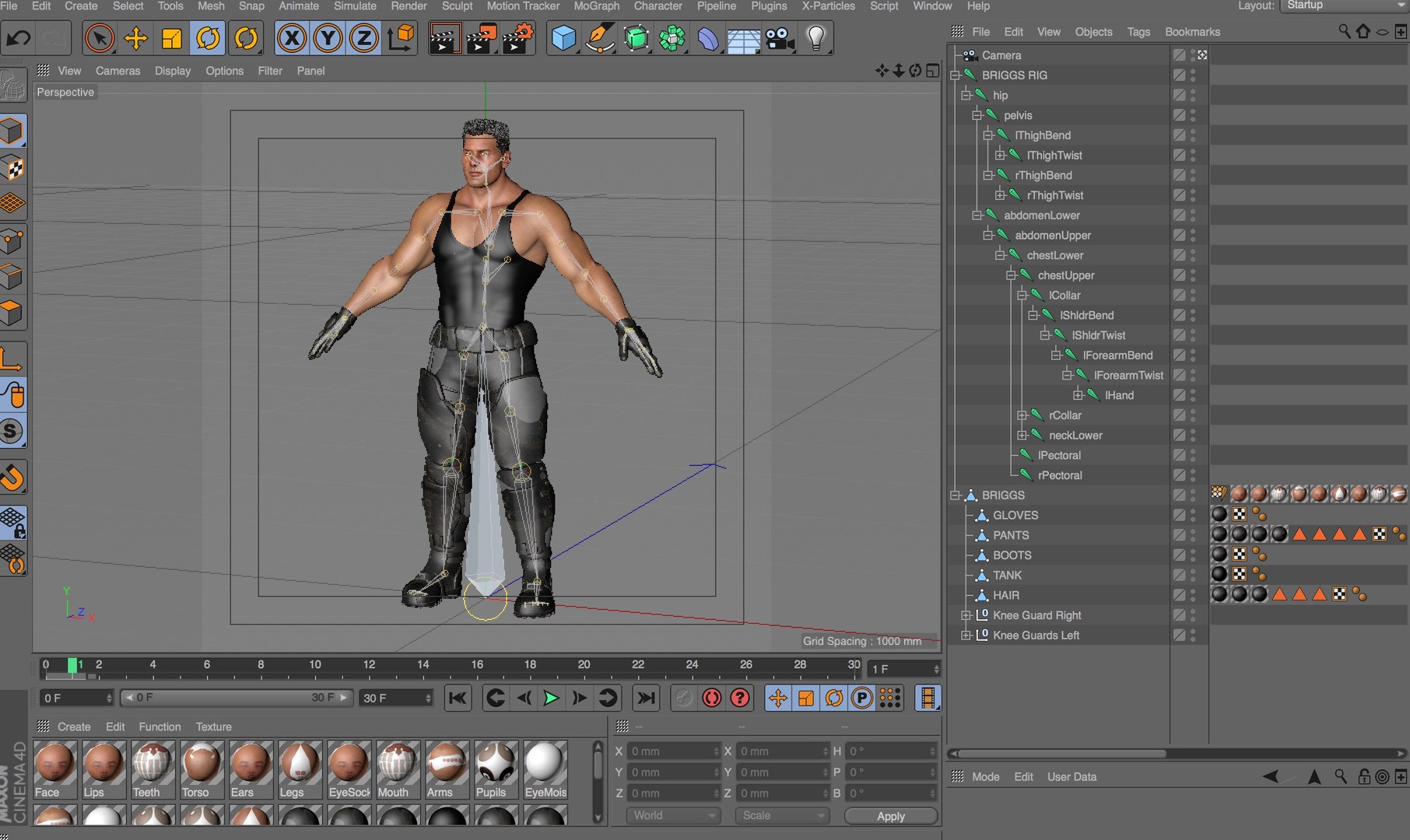 Briggs Skeleton 3D Model - TurboSquid 1523217