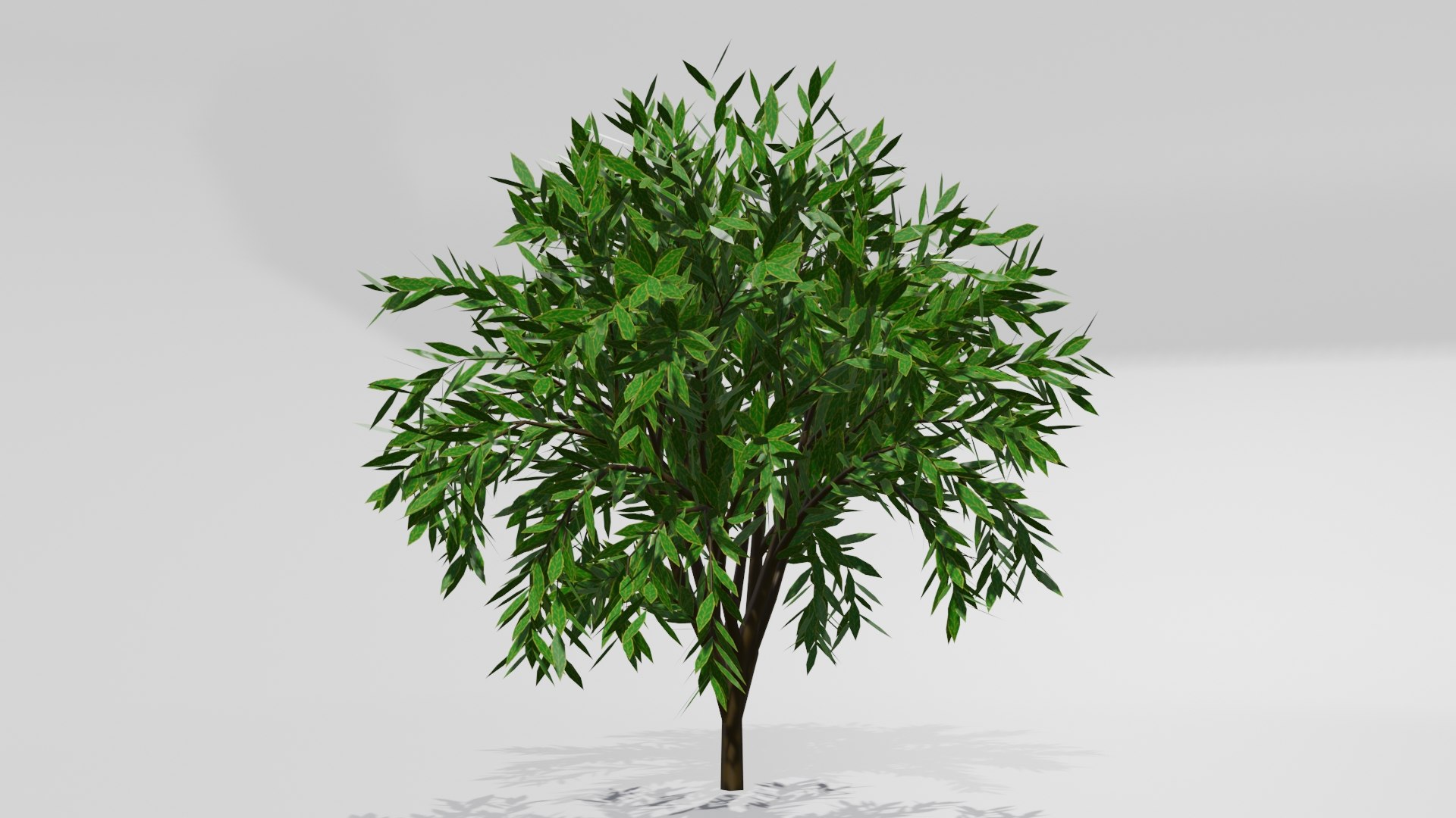 3D Tree model - TurboSquid 2057623