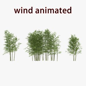 Bamboo forest camping home stay 3D model - TurboSquid 1734840