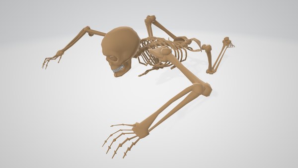 3D skeleton halloween model - TurboSquid 1590797