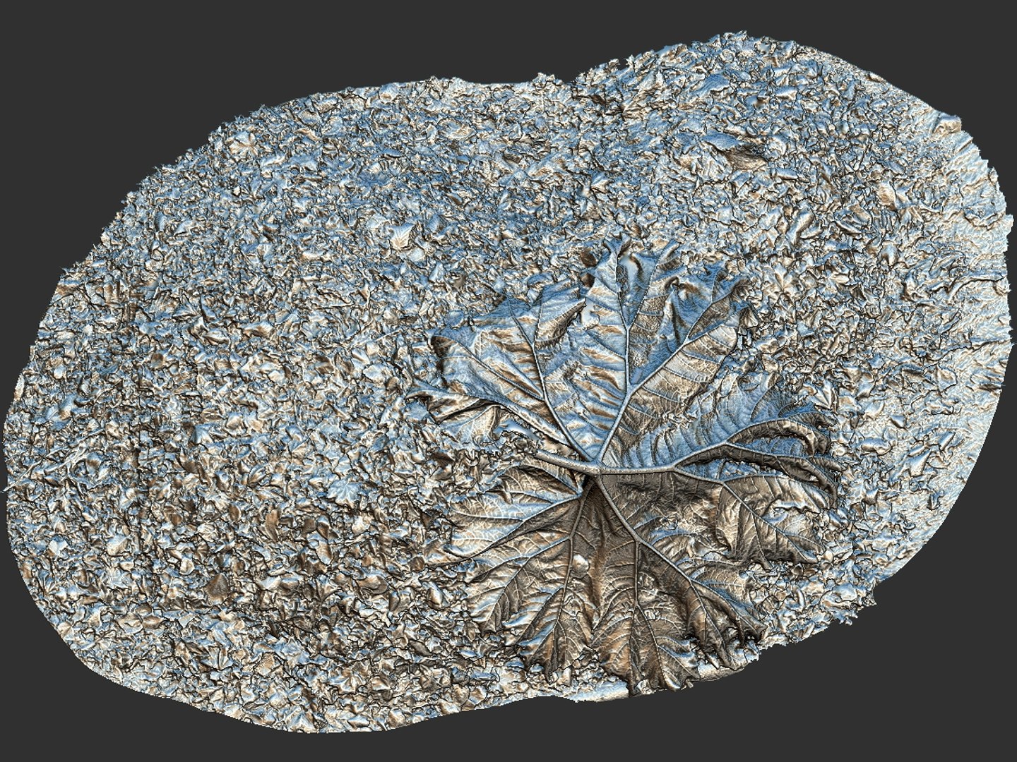 3D Hd Leaf Model - TurboSquid 1216686