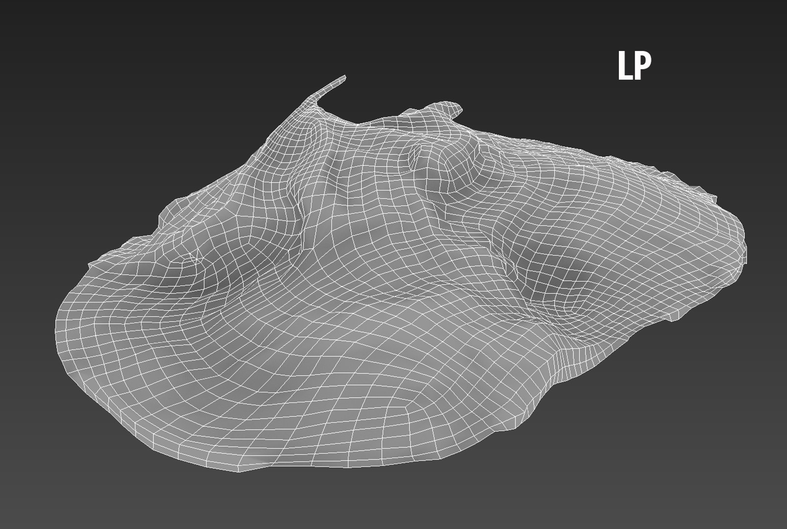 3D Hd Leaf Model - TurboSquid 1216686