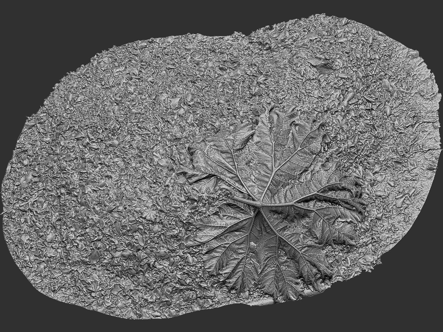 3D Hd Leaf Model - TurboSquid 1216686
