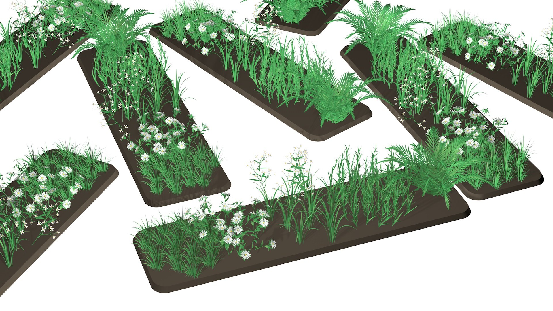 3D Herbage Various Set 6 Piece - TurboSquid 1787001