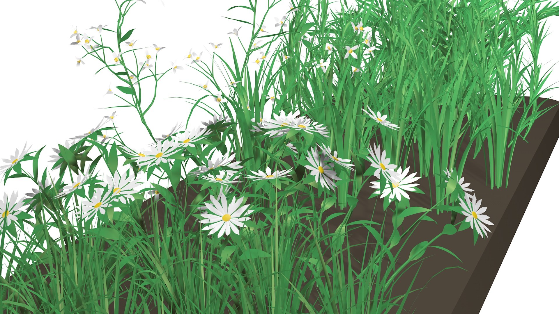 3D Herbage Various Set 6 Piece - TurboSquid 1787001