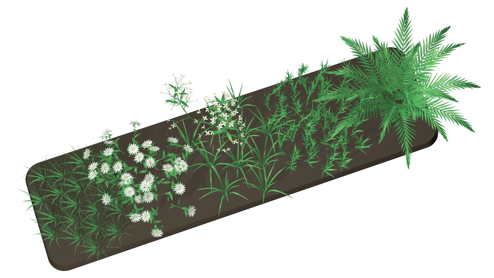 3D Herbage Various Set 6 Piece - TurboSquid 1787001