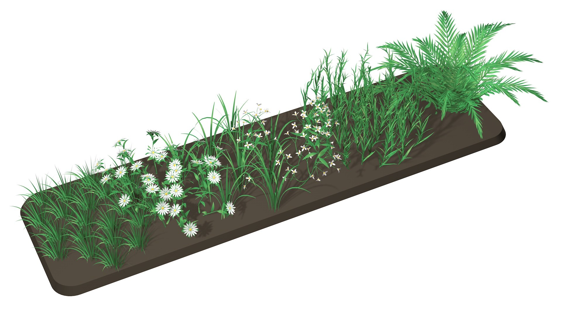 3D Herbage Various Set 6 Piece - TurboSquid 1787001