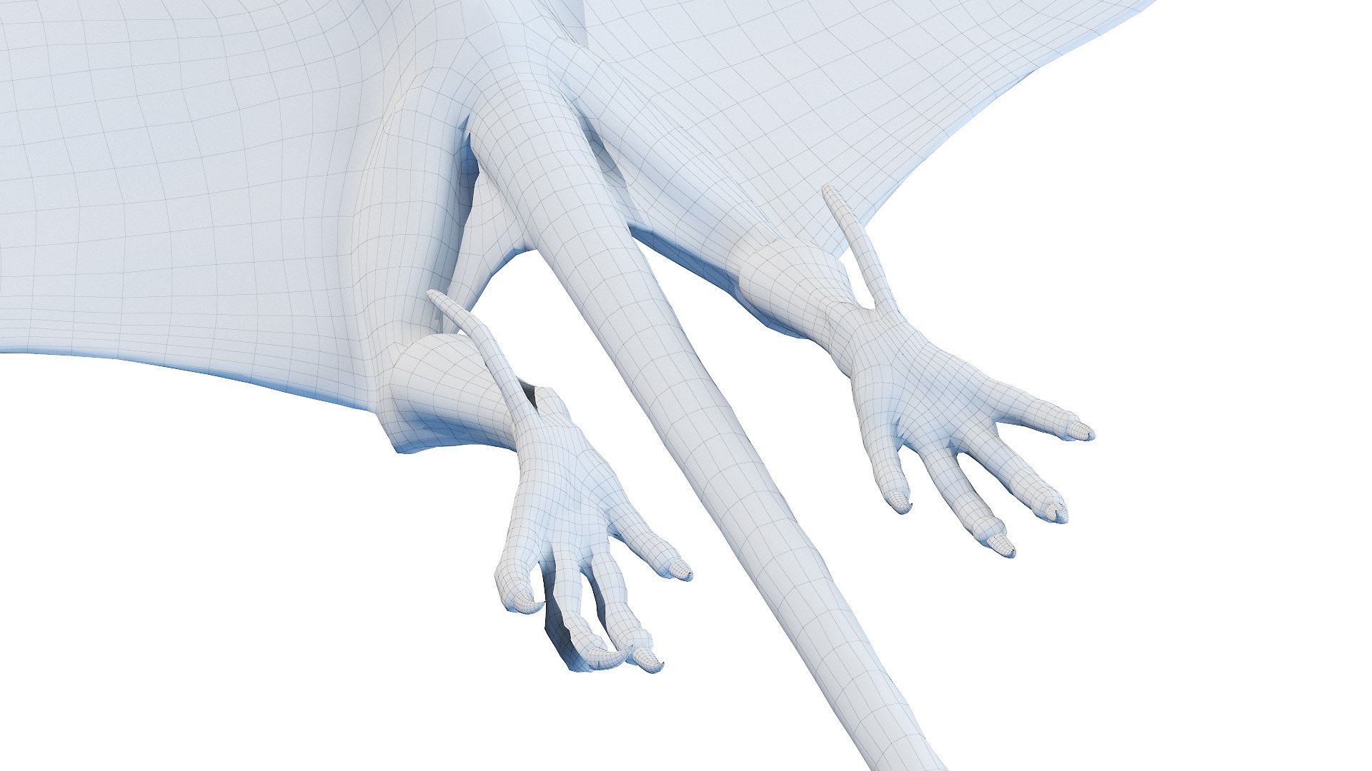 Dimorphodon 3D model - TurboSquid 1659026