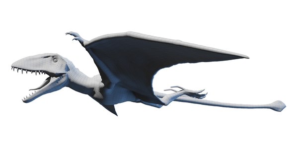 Dimorphodon 3D model - TurboSquid 1659026
