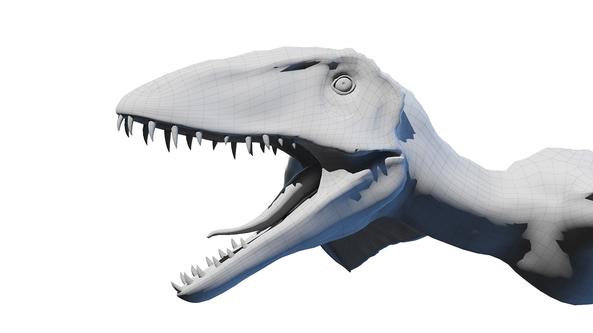 Dimorphodon 3D Model - TurboSquid 1659026