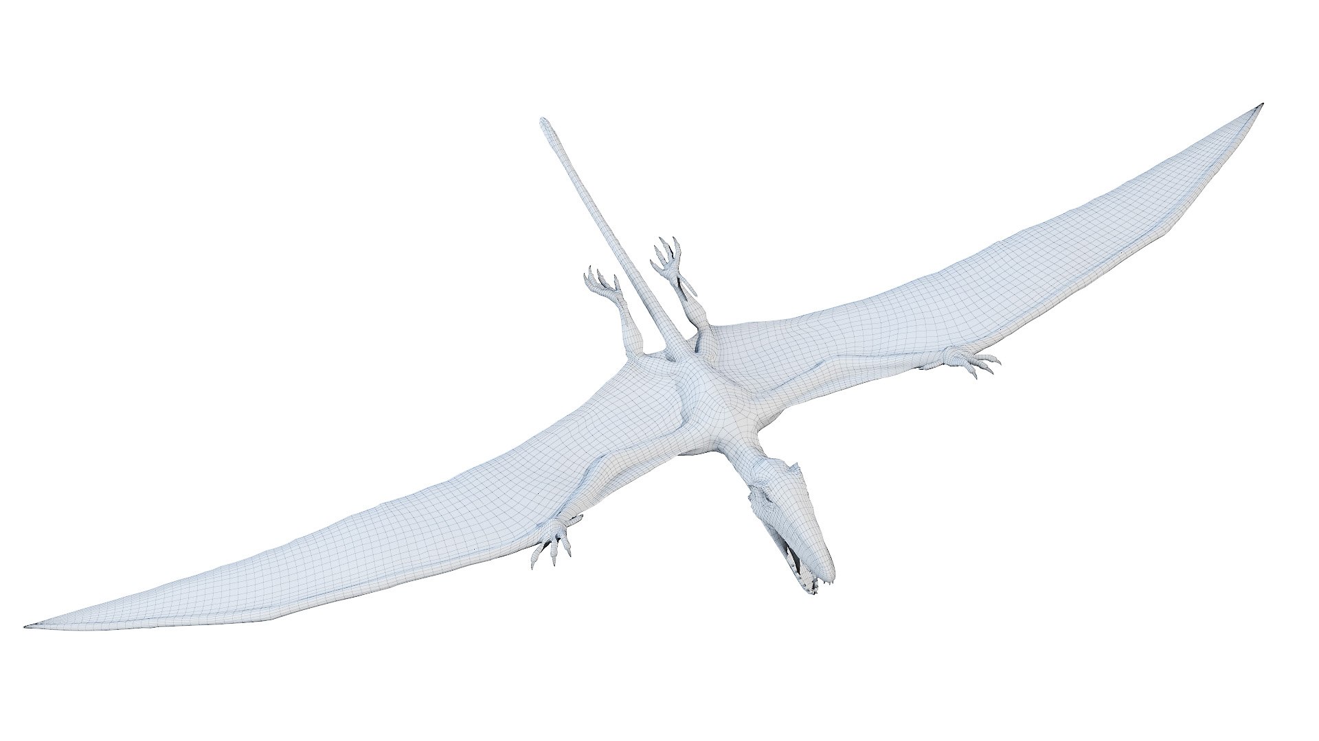 Dimorphodon 3D Model - TurboSquid 1659026