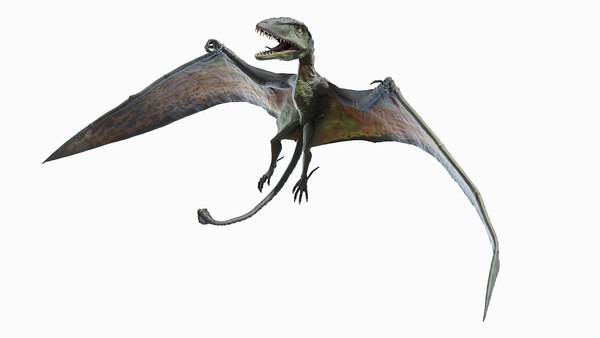 Dimorphodon 3D model - TurboSquid 1659026