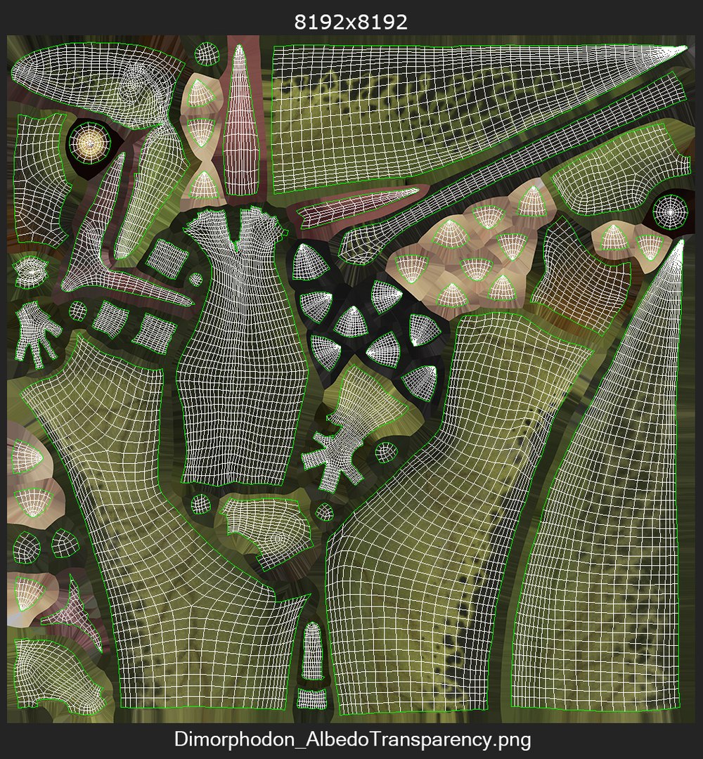 Dimorphodon 3D Model - TurboSquid 1659026