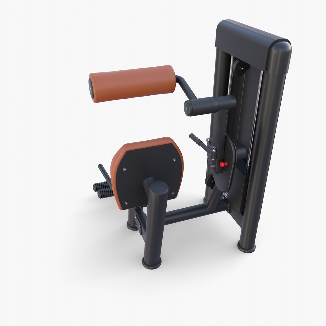 Lower Back Machine 3D Model - TurboSquid 2024982