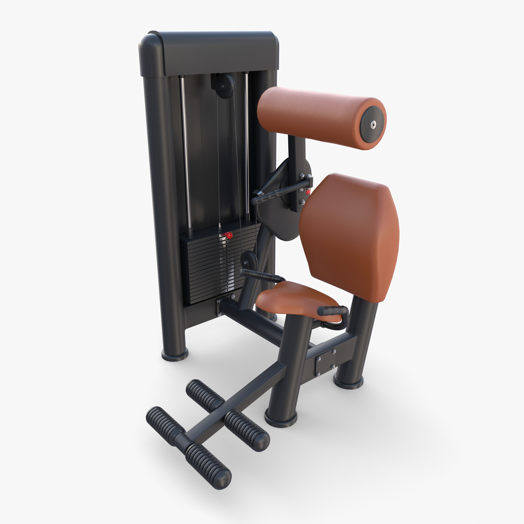 Lower Back Machine 3D Model - TurboSquid 2024982