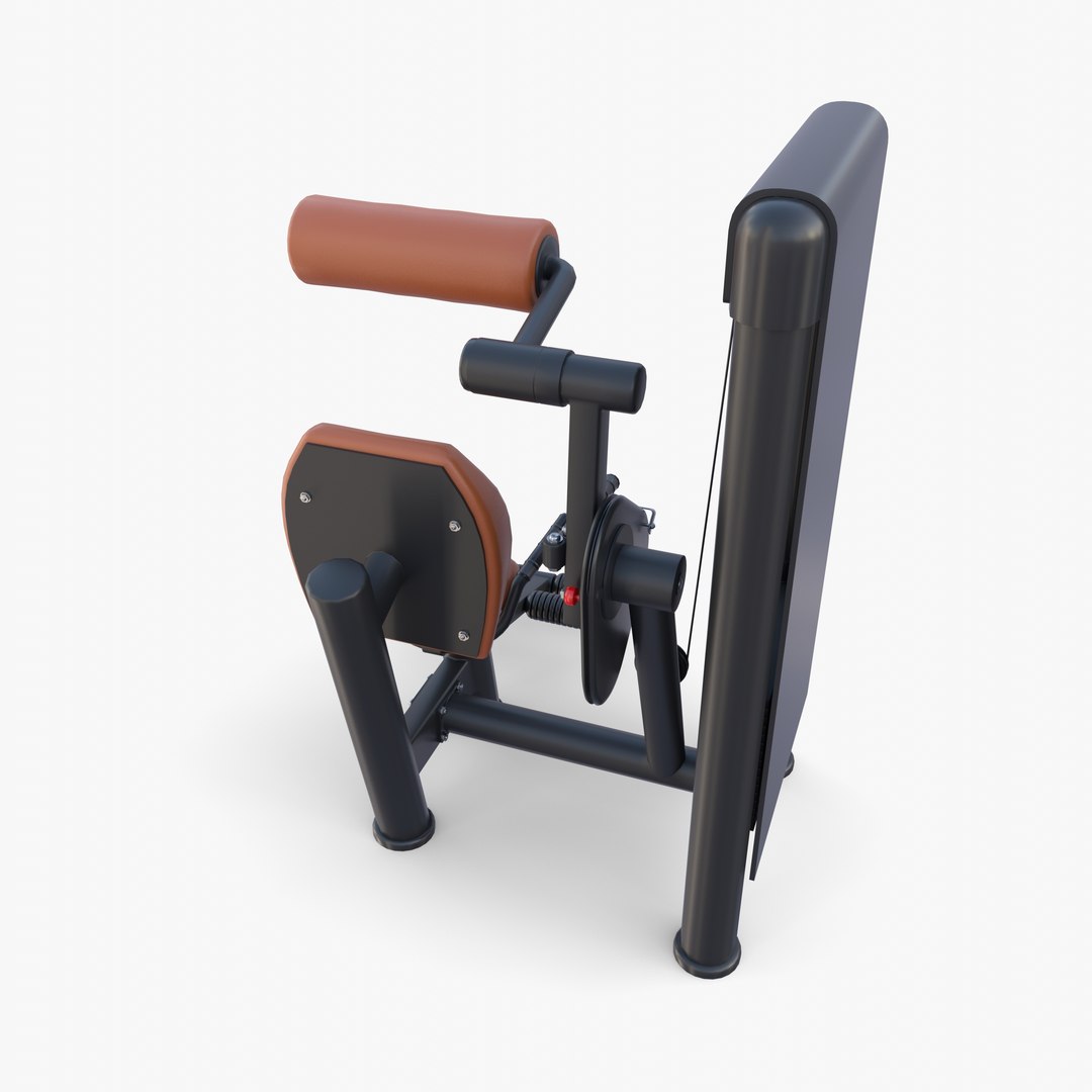 Lower Back Machine 3D Model - TurboSquid 2024982