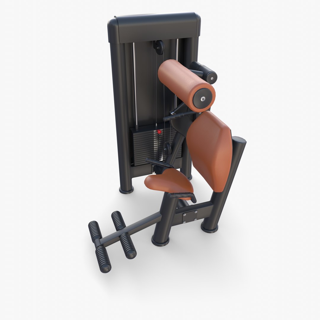 Lower Back Machine 3D Model - TurboSquid 2024982