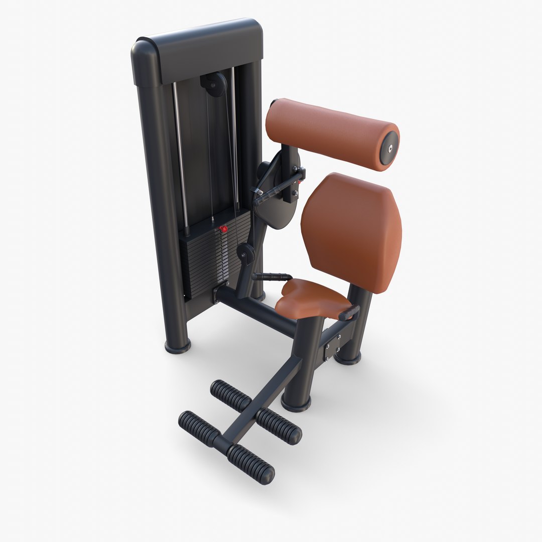 Lower Back Machine 3D Model - TurboSquid 2024982