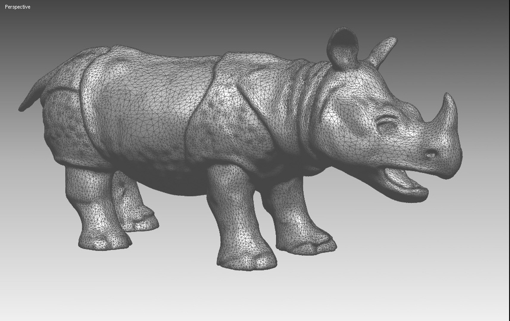 3d C4d Rhino